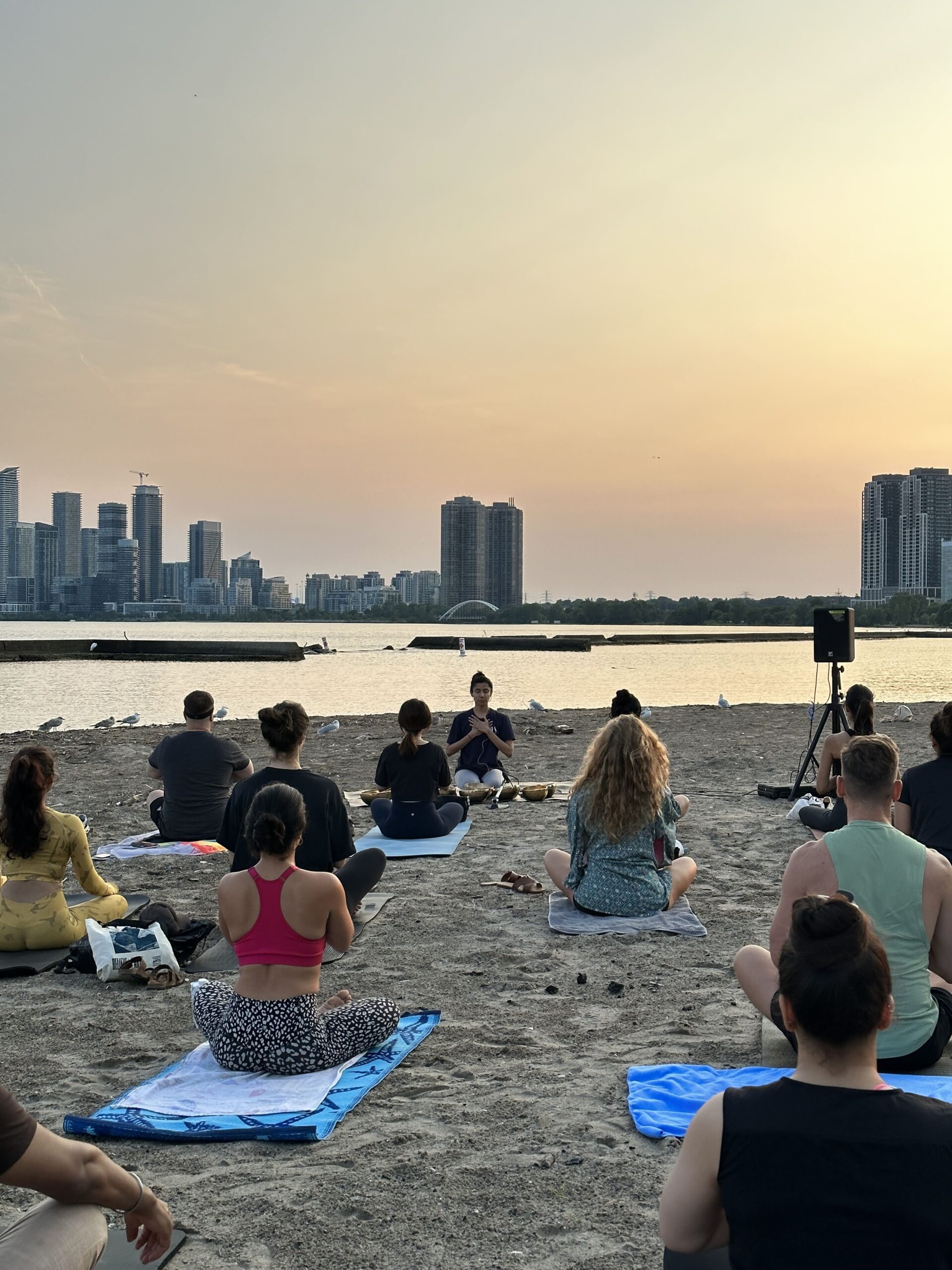 Yoga Classes Toronto Locals Love: More Than Just a Workout - OHA Wellness
